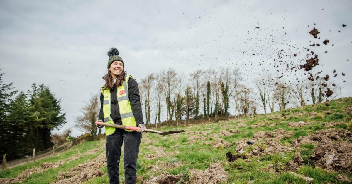 Sisk completes planting 40,000 native trees in Co. Cork | Sisk